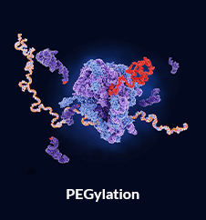 Label Free Protein Quantification and Identification: AxisPharm